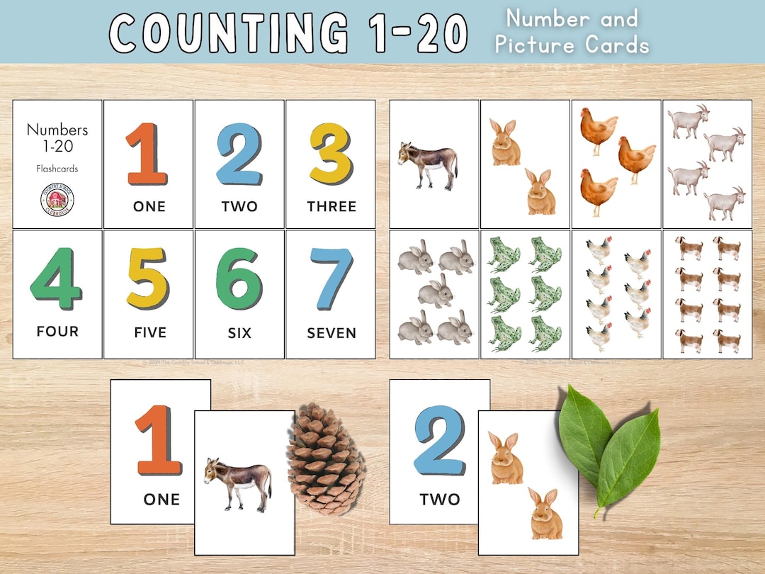 Counting Number Cards 1-20 | Math Flashcards | Preschool, Pre-k ...