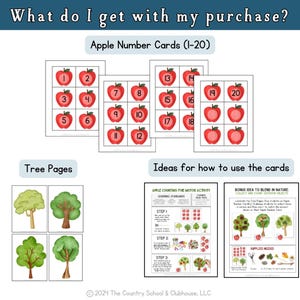 Math Number Cards | Fine Motor Practice | Apple Theme | Counting 1-10 ...