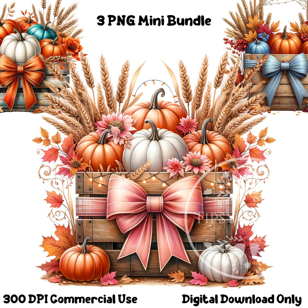 Coquette Pumpkin PNG Bundle, Fall Floral Pumpkin PNG Floral Coquette ...
