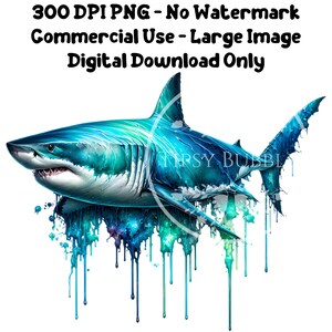 Shark Watercolor Clipart, Shark PNG Shirt Design, Ocean Shark Graphics ...