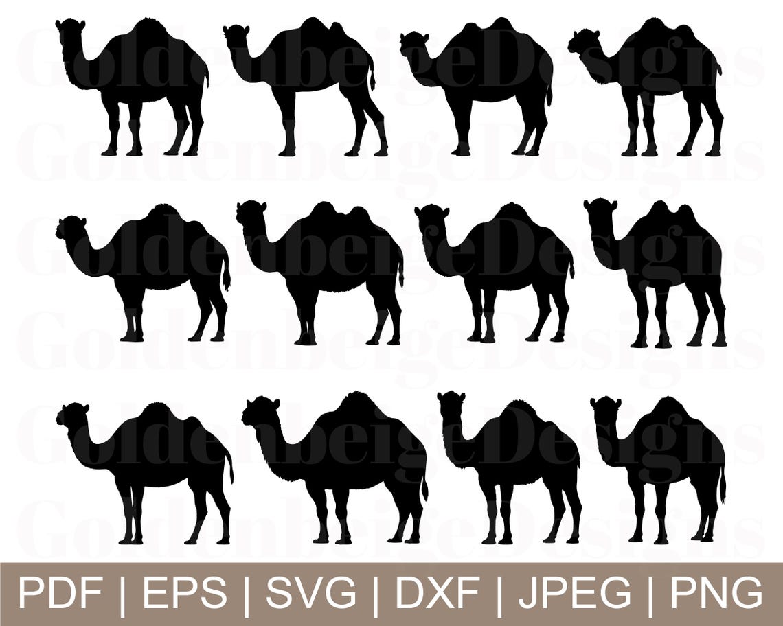 Camels Svg, Camels Vector, Camels Silhouette, Camels Cut File, Camels ...