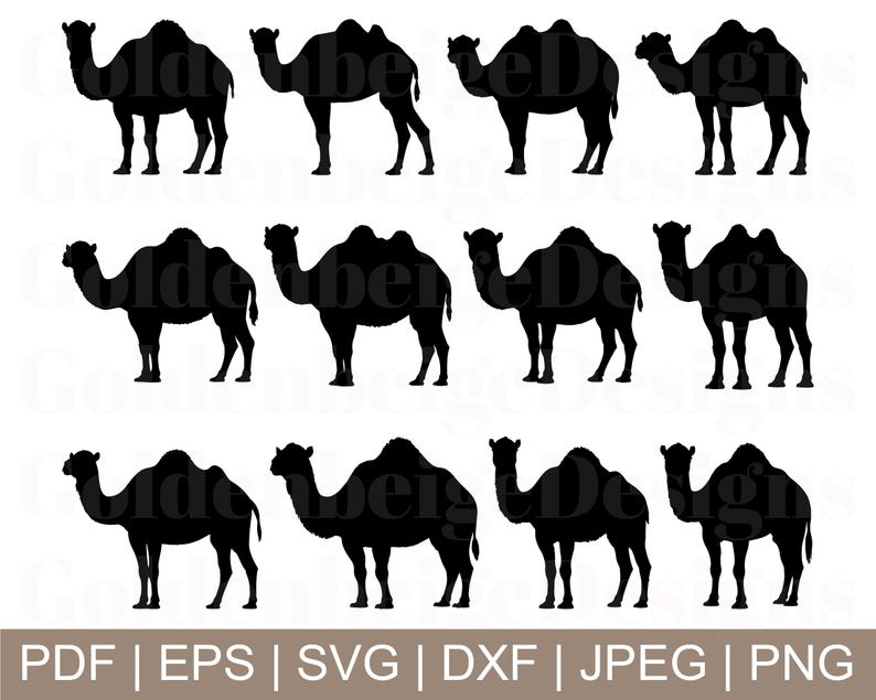 Camels Svg, Camels Vector, Camels Silhouette, Camels Cut File, Camels ...