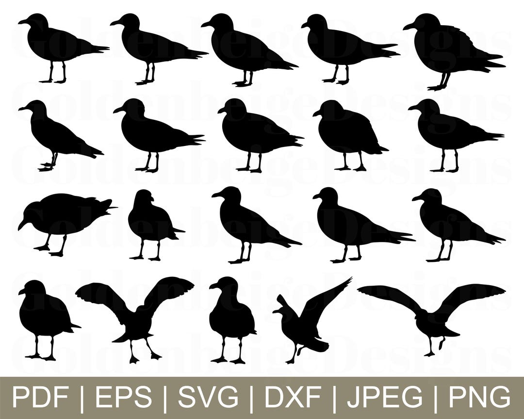 Seagull Svg, Seagull Vector, Seagull Silhouette, Seagull Cut File ...