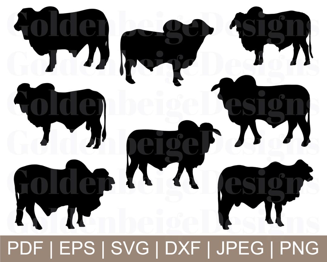Brahman Bull Svg, Bull Silhouette, Brahman Bull Vector, Livestock Svg ...