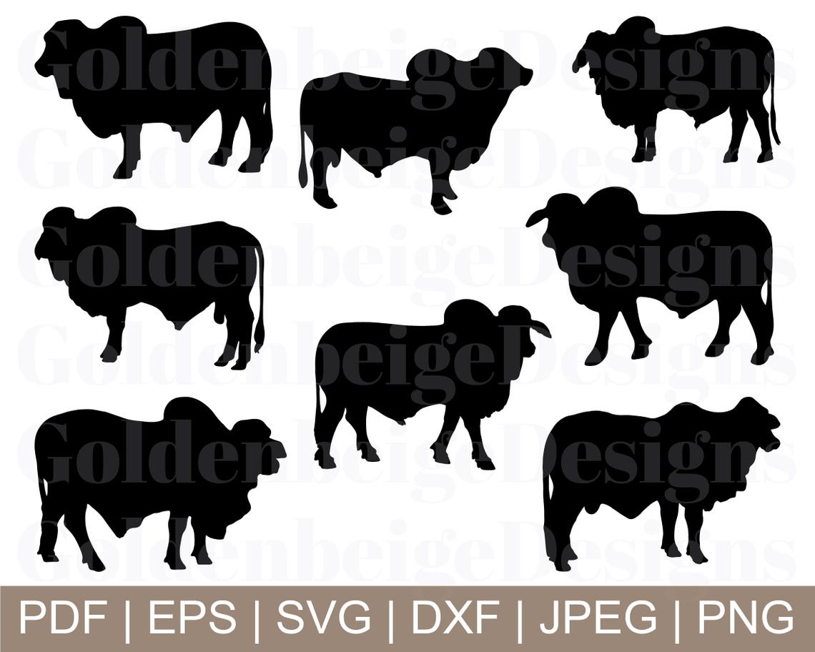 Brahman Bull Svg, Bull Silhouette, Brahman Bull Vector, Livestock Svg ...