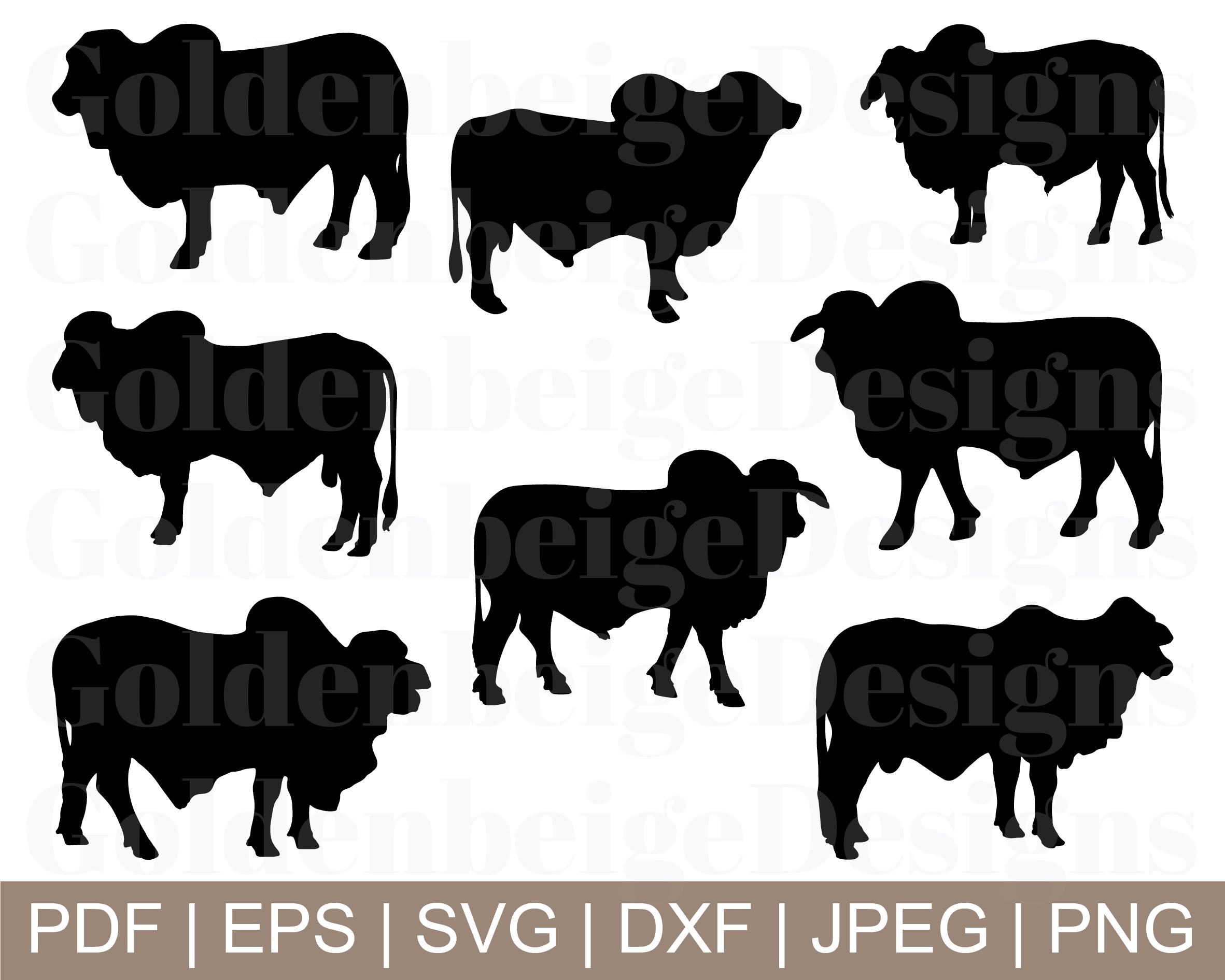 Brahman Bull Svg, Bull Silhouette, Brahman Bull Vector, Livestock Svg ...