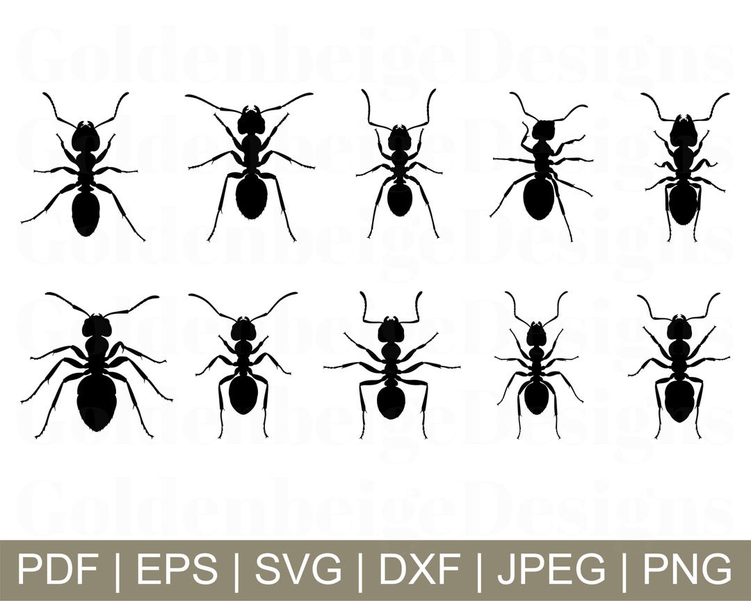 Ants Svg, Ants Silhouette, Ants Cut File, Ants Cricut, Ants Dxf, Jpeg, Png - Etsy