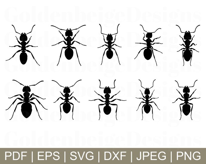 Ant SVG, Ants SVG, Anthill SVG, Formicary Svg, Ant Dxf, Ants Dxf, Ant ...