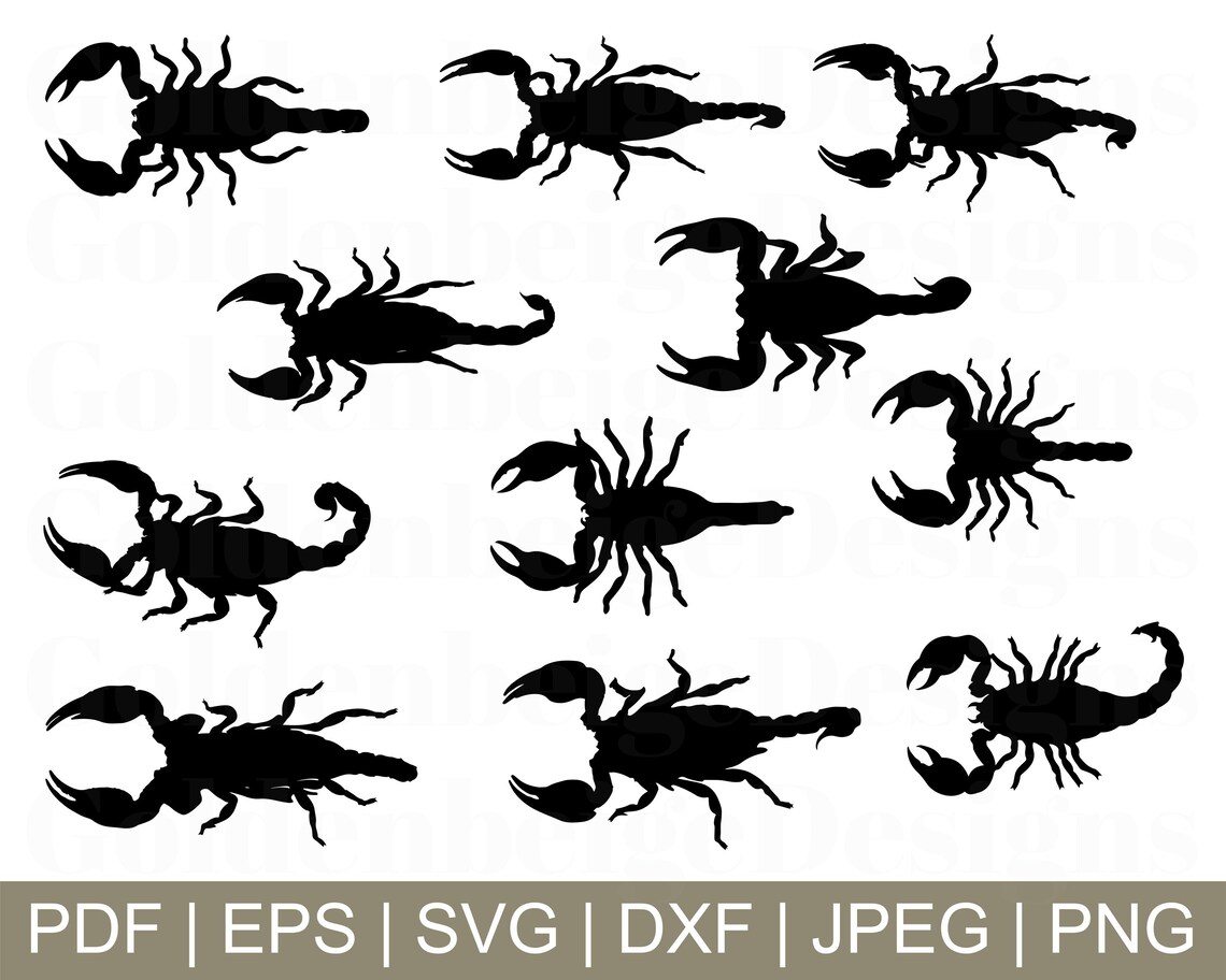Scorpion Svg, Scorpion Vector, Scorpion Silhouette, Scorpion Cut File ...