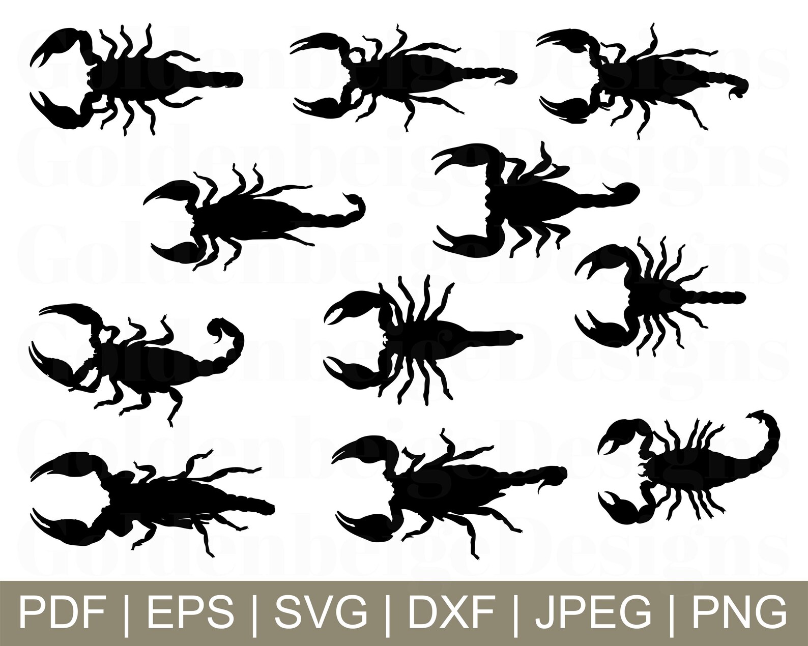 Scorpion Svg, Scorpion Vector, Scorpion Silhouette, Scorpion Cut File ...