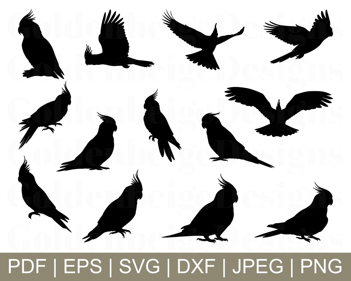 Cockatiel Bird Svg, Cockatiel Bird Silhouette, Cockatiel Bird Vector ...