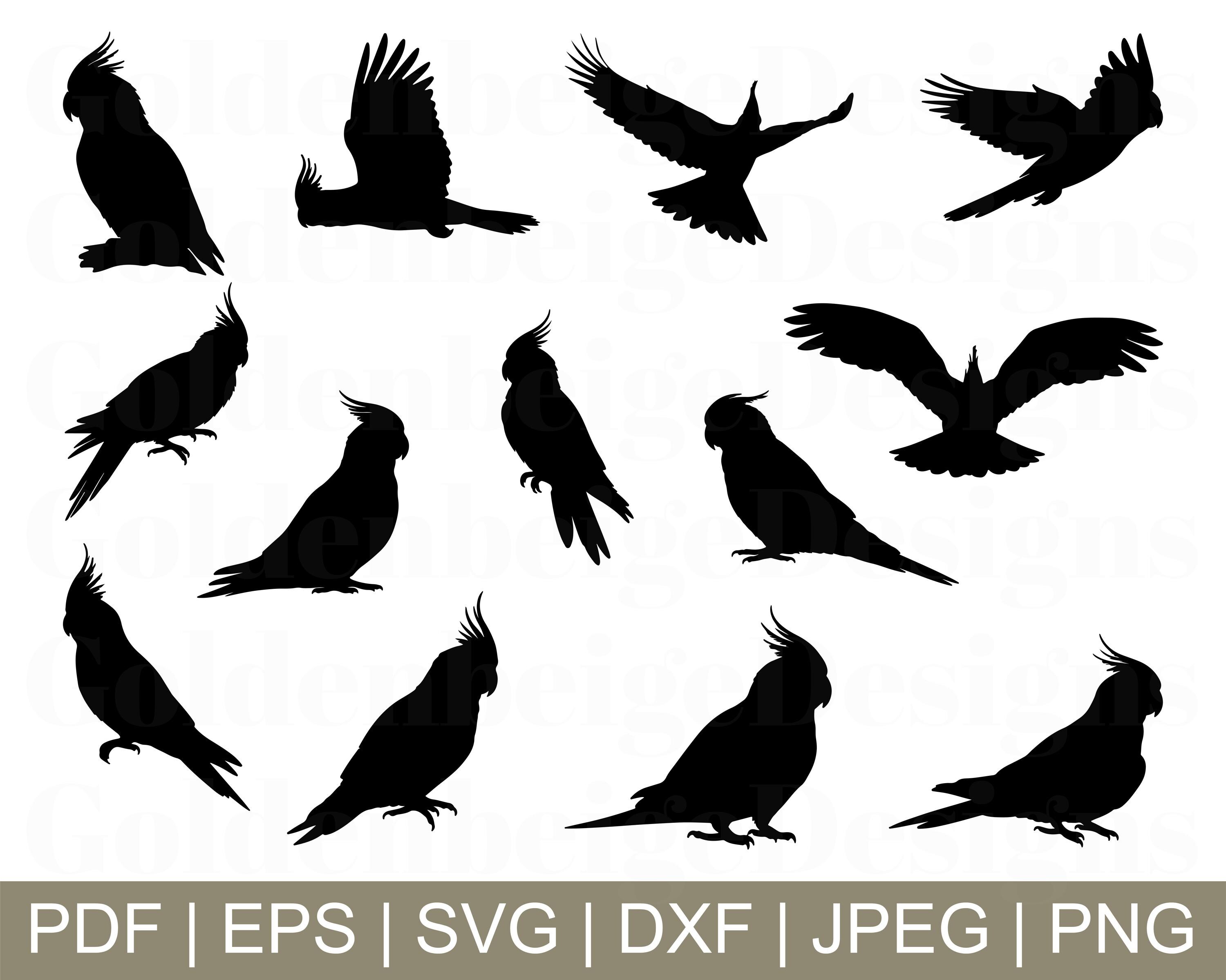 Cockatiel Bird Svg, Cockatiel Bird Silhouette, Cockatiel Bird Vector ...