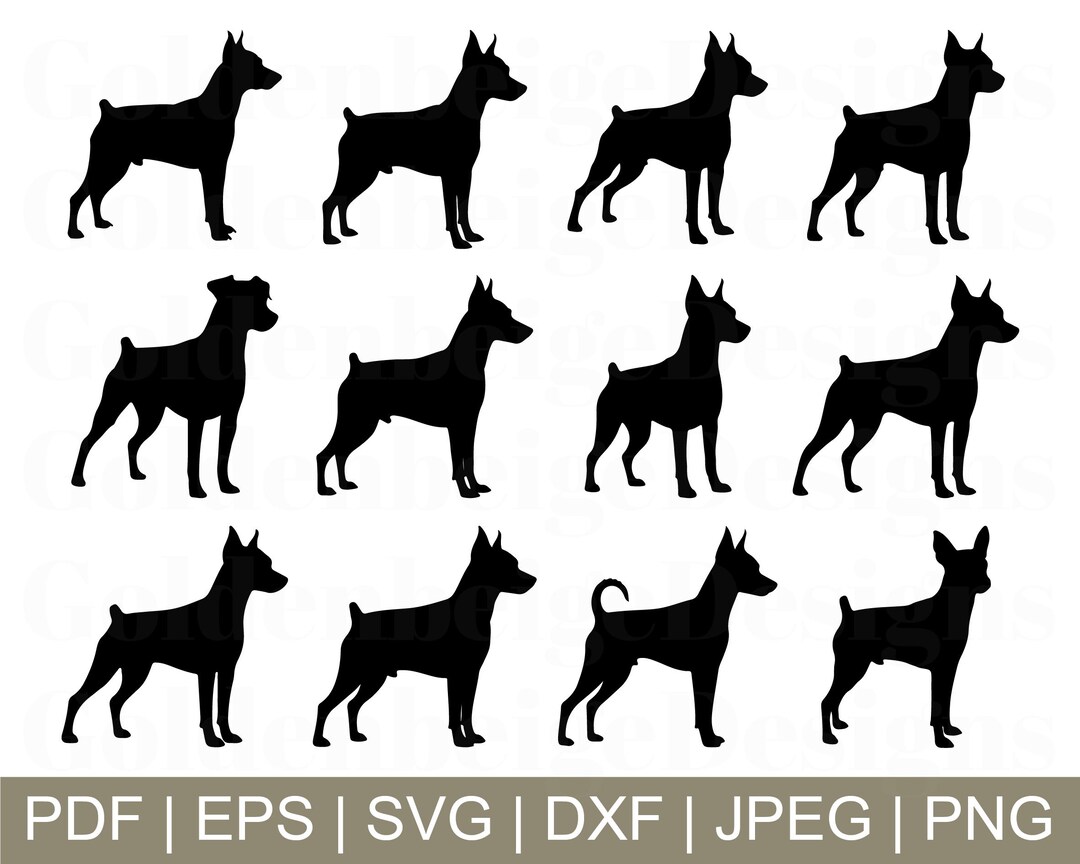 Miniature Dog Svg, Miniature Dog Vector, Miniature Dog Silhouette ...
