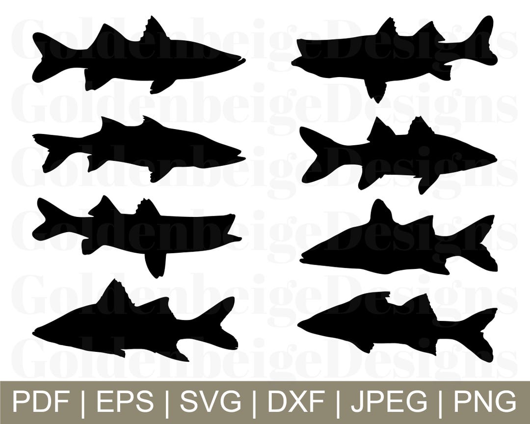Snook Fish Svg, Snook Fish Silhouette, Snook Fish Vector, Fishing ...