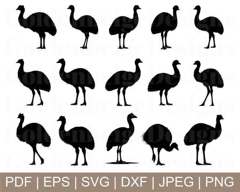 Emu Svg, Emu Silhouette, Emu Vector, Emu Cricut, Emu Cut File Jpeg, Png ...