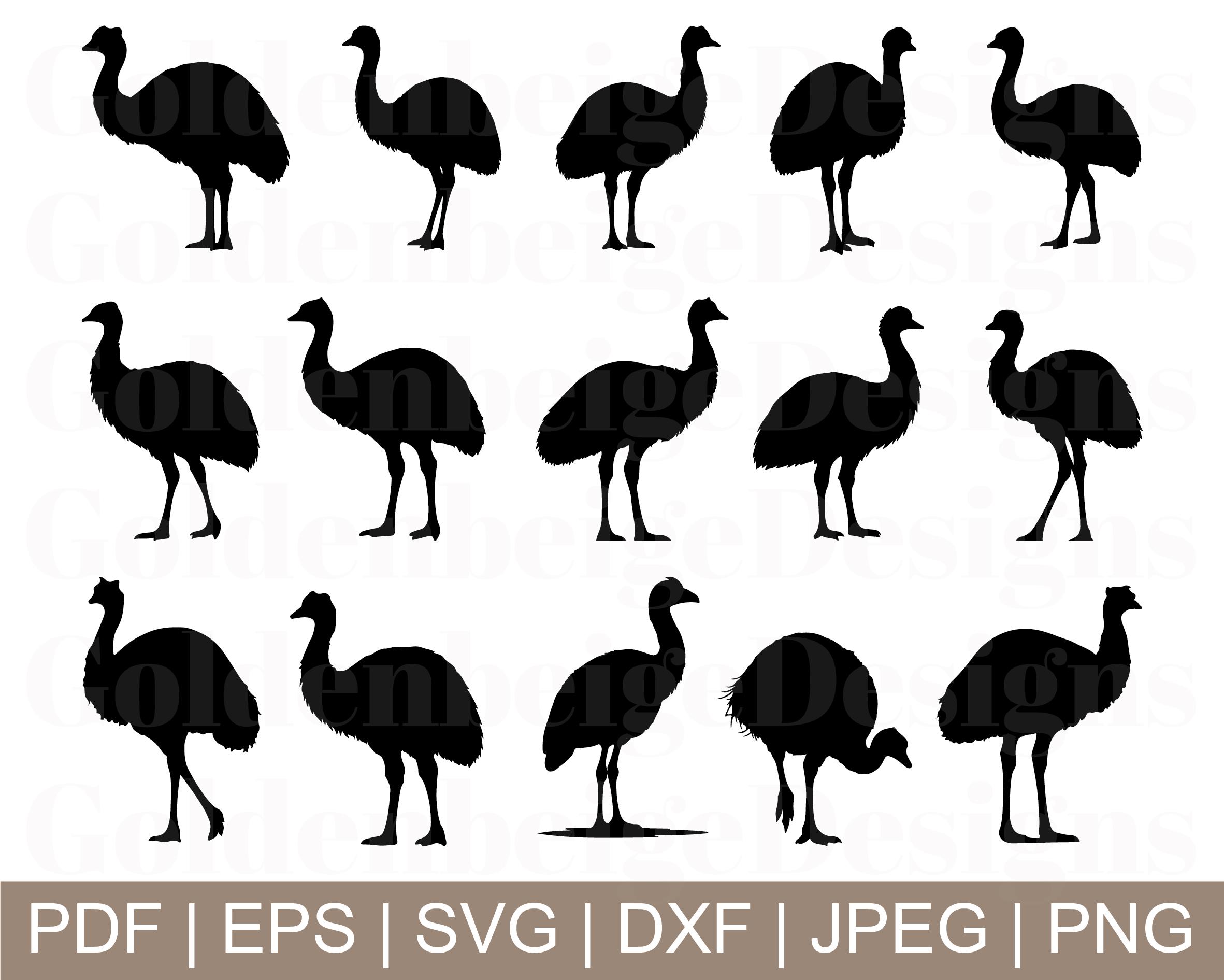 Emu Svg, Emu Silhouette, Emu Vector, Emu Cricut, Emu Cut File Jpeg, Png ...
