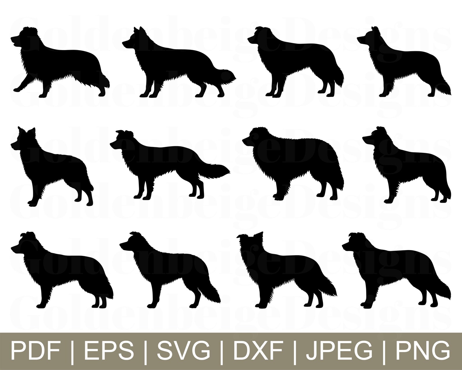 Border Collie Dogs Svg, Border Collie Silhouette, Border Collie Dogs ...