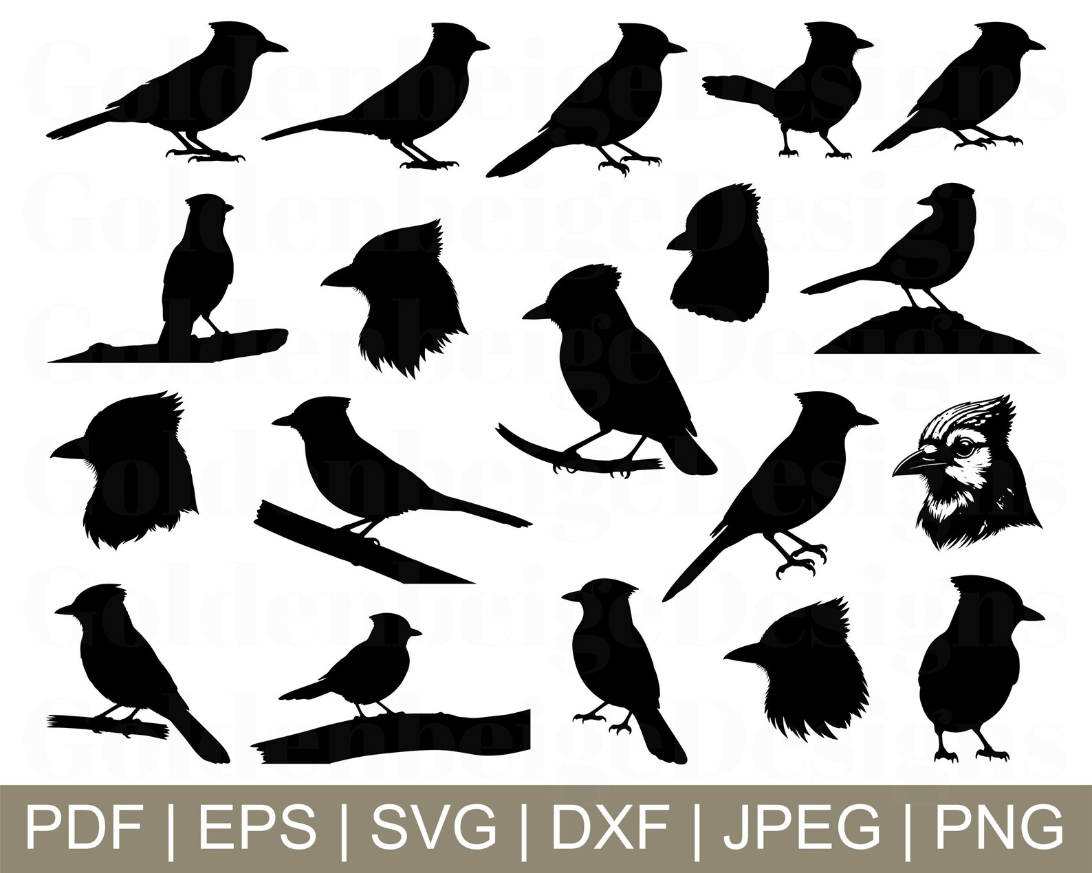 Blue Jay Birds Svg, Blue Jay Bird Silhouette, Blue Jay Cut File, Blue ...