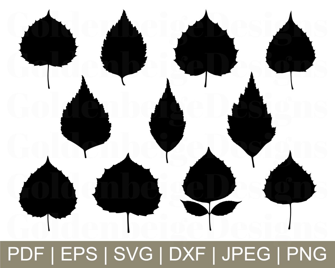 Birch Leaf Svg, Birch Leaf Vector, Birch Leaf Isolated, Birch Leaf Cut ...