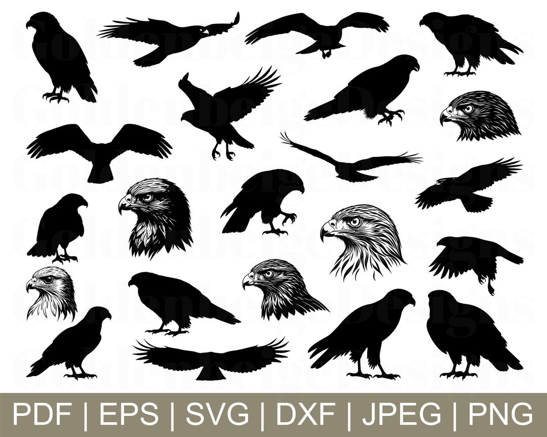Hawk Bird Svg, Hawk Bird Silhouette, Hawk Bird Cut File, Hawk Cricut ...