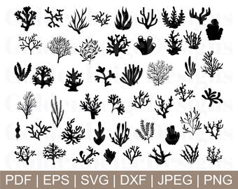 Seaweed SVG - Etsy