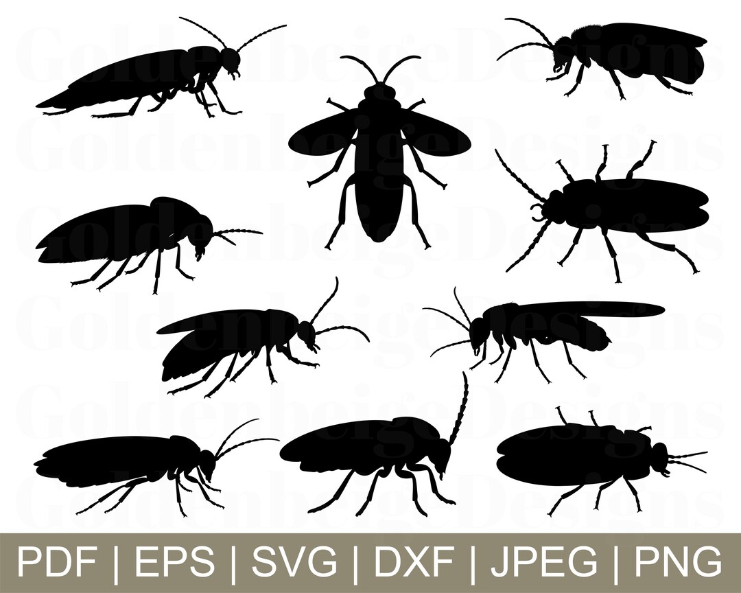 Firefly Svg, Firefly Silhouette, Firefly Cut File, Firefly Dxf, Insects ...