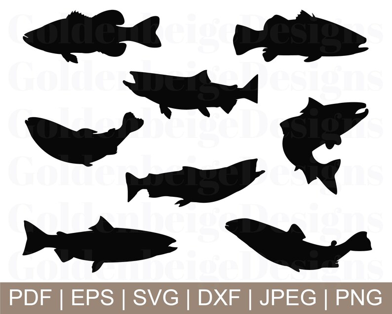 Salmon Fish Svg, Salmon Fish Vector, Salmon Fish Silhouette, Salmon ...