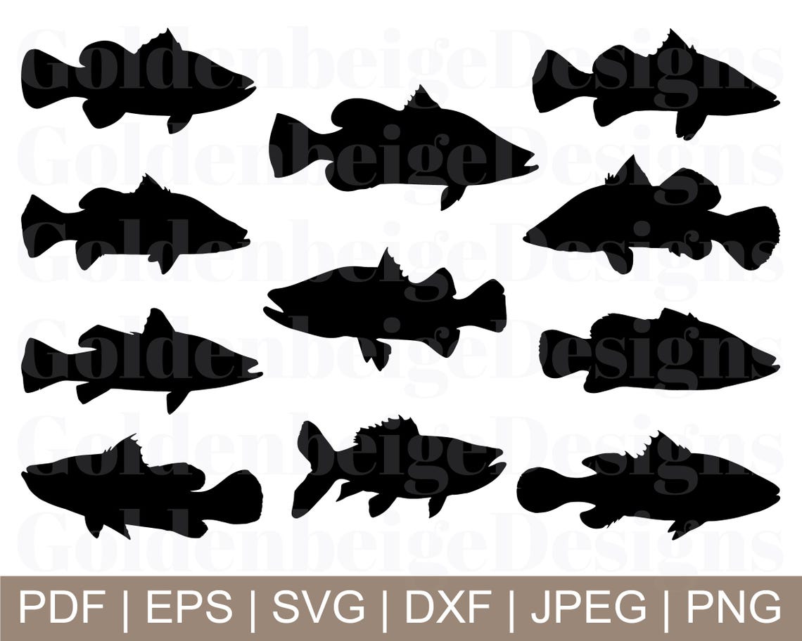 Barramundi Fish Silhouette, Fishing Svg, Barramundi Fish Bundle, Fish ...