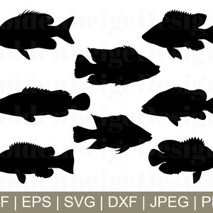 Tilapia Fish Svg, Tilapia Fish Vector, Tilapia Fish Silhouette, Fish ...
