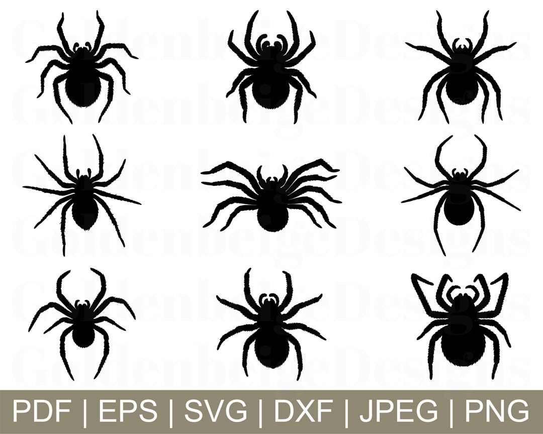 Spider Svg, Spider Cut File, Spider Silhouette, Spider Cricut, Spider ...