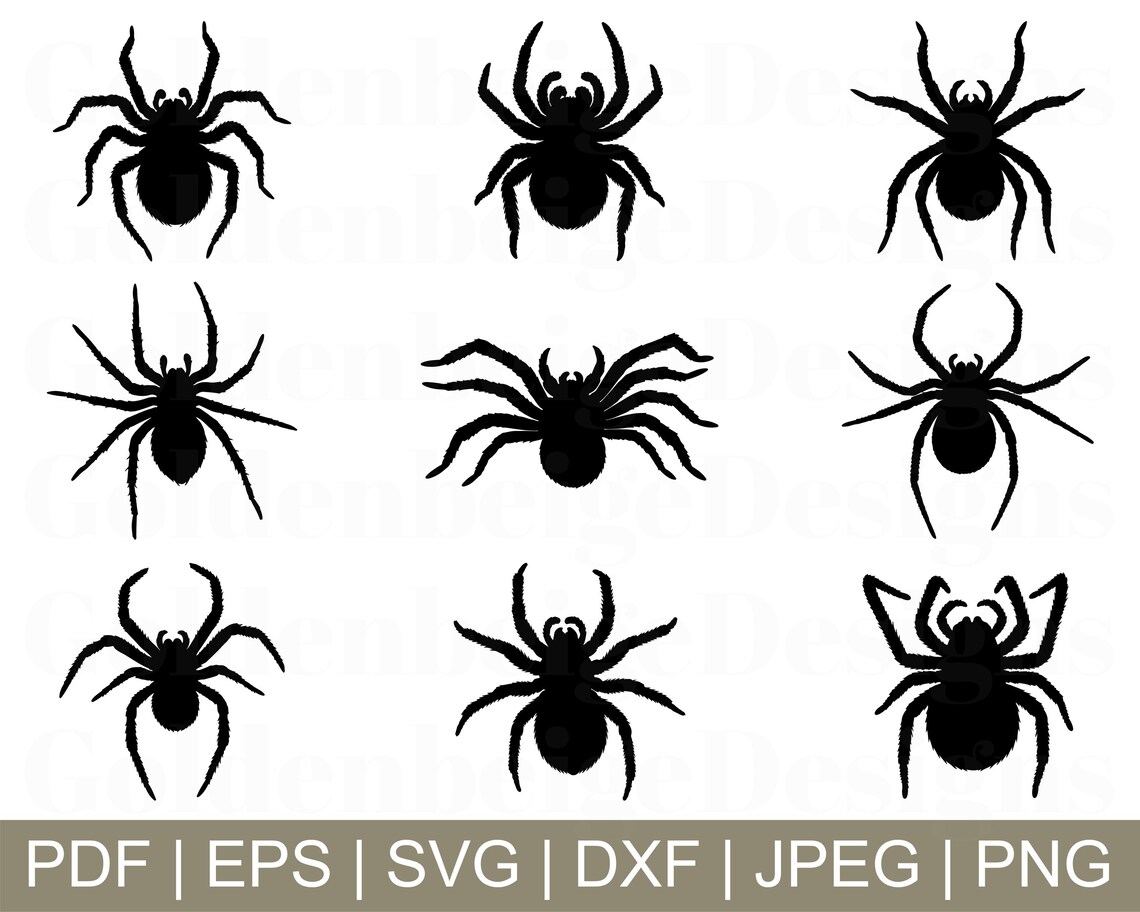 Spider Svg, Spider Cut File, Spider Silhouette, Spider Cricut, Spider ...