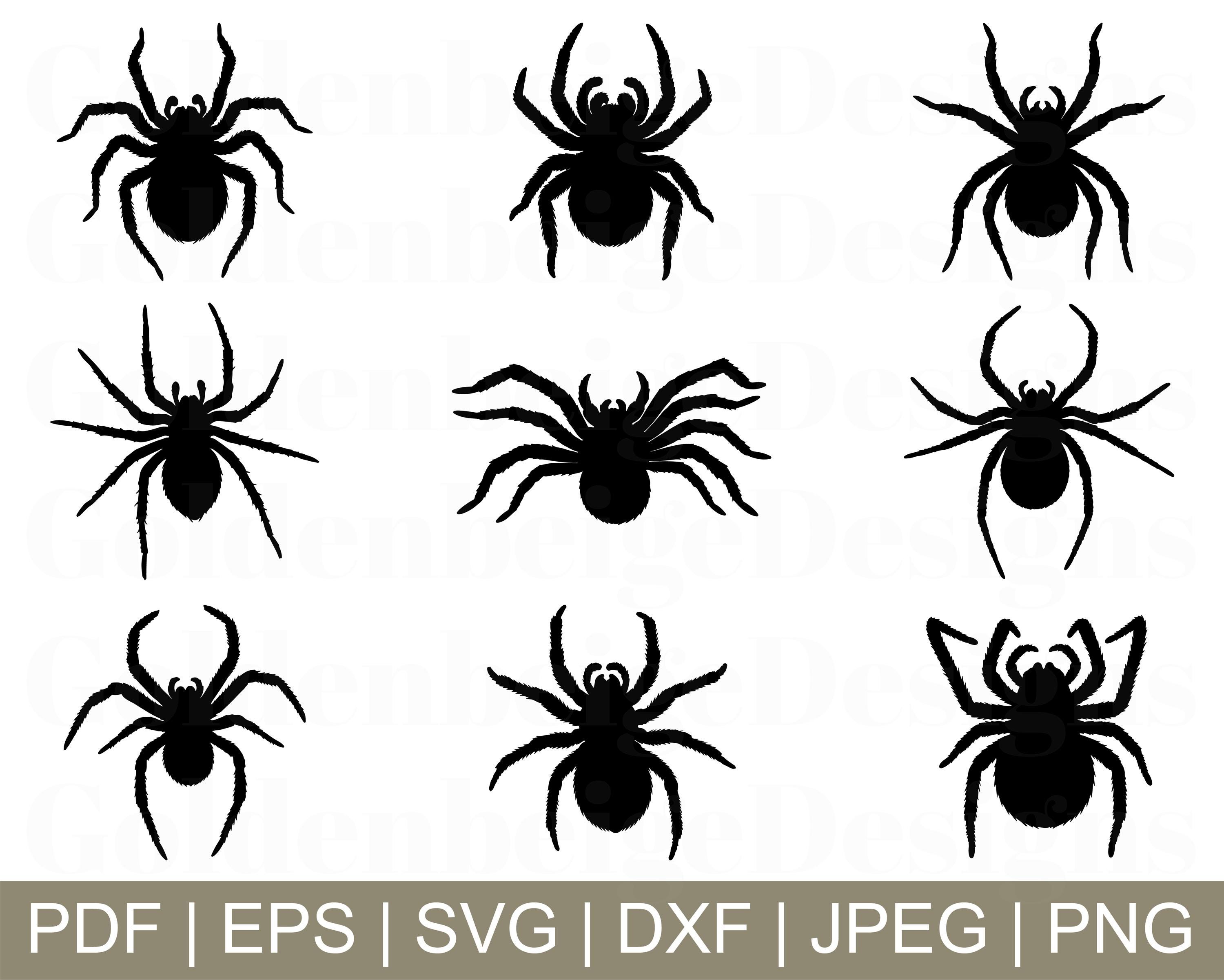 Spider Svg, Spider Cut File, Spider Silhouette, Spider Cricut, Spider ...