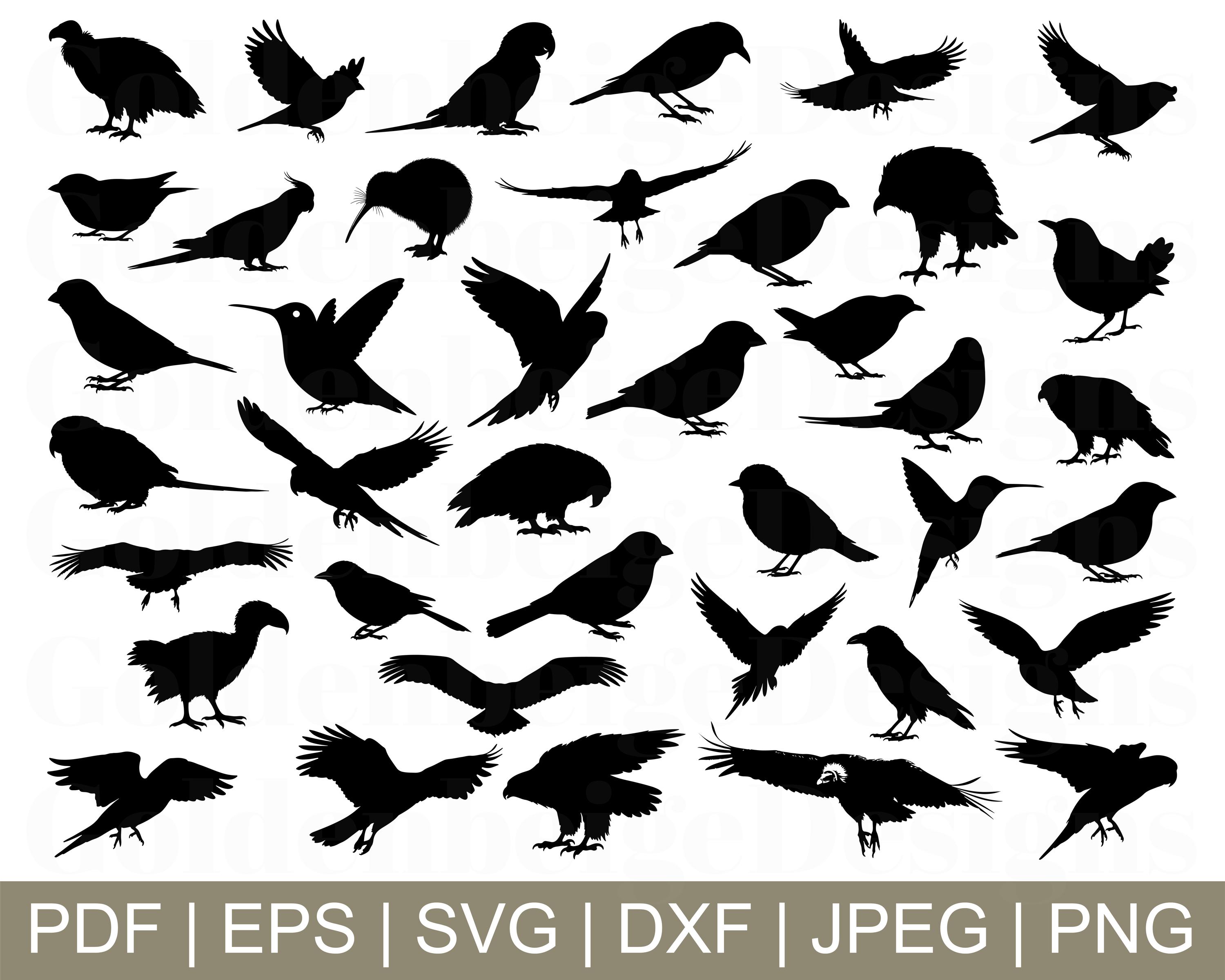 Birds Svg, Birds Silhouette, Birds Vector, Birds Cut File, Birds Cricut ...