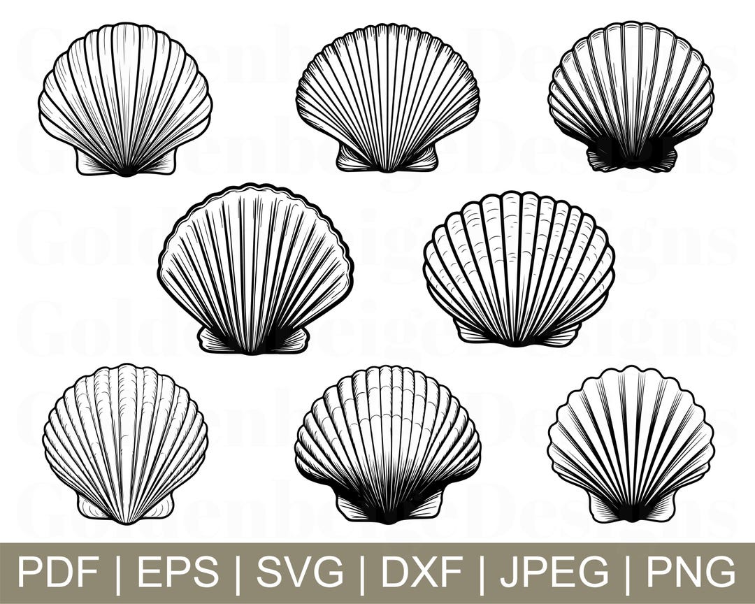 Seashell Svg, Seashell Silhouette, Seashell Vector, Seashell Cut File ...