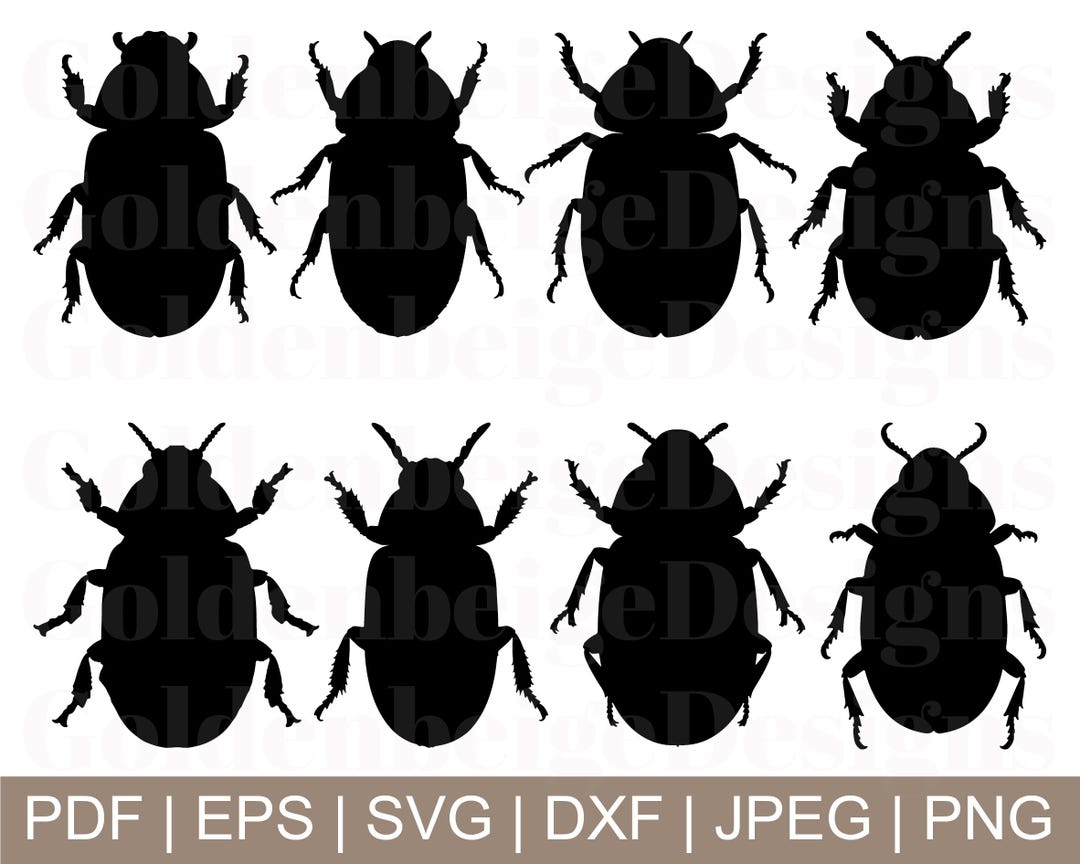 Beetle Svg, Beetle Vector, Beetle Isolated, Beetle Cricut, Beetle Cut ...