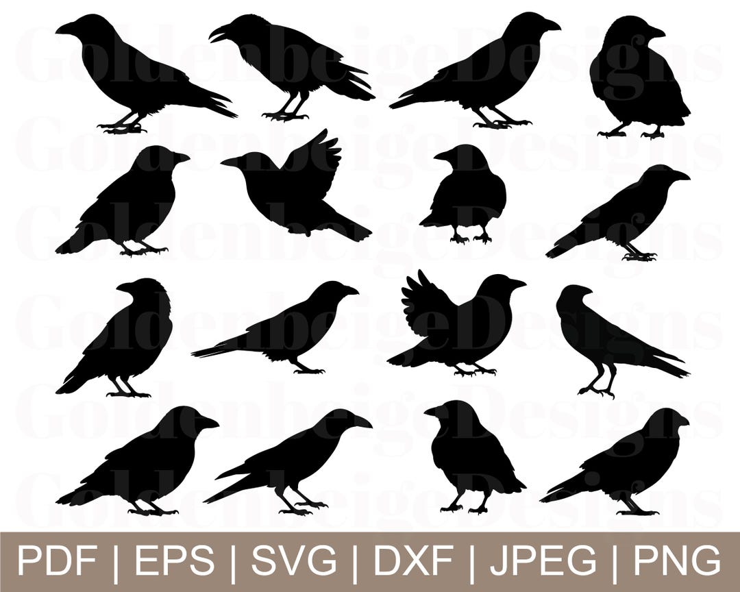 Crow Svg, Crow Vector, Crow Silhouette, Crow Cricut, Crow Cut File ...