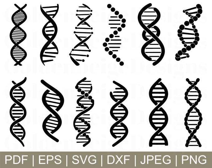 Dna Svg Dna Svg Files Silhouette Cut File Dna Dxf Vinyl Dna Svg File ...