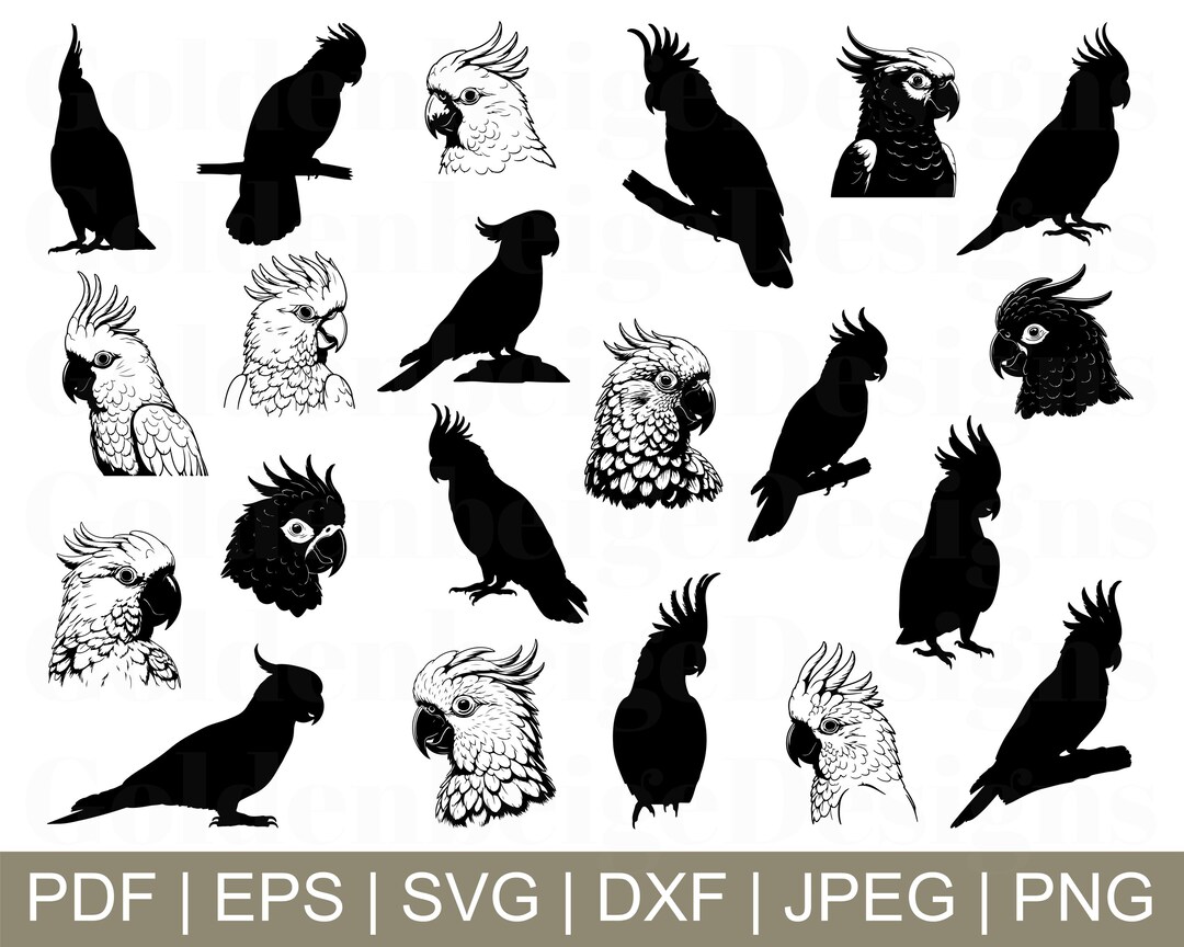 Cockatoo Bird Svg, Cockatoo Silhouette, Cockatoo Cut File, Cockatoo ...