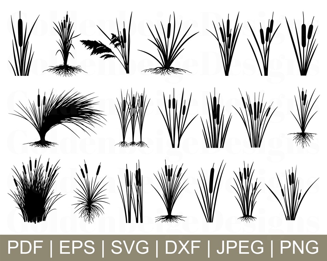 Cattail Svg, Cattail Vector, Cattail Silhouette, Cattail Cut File ...