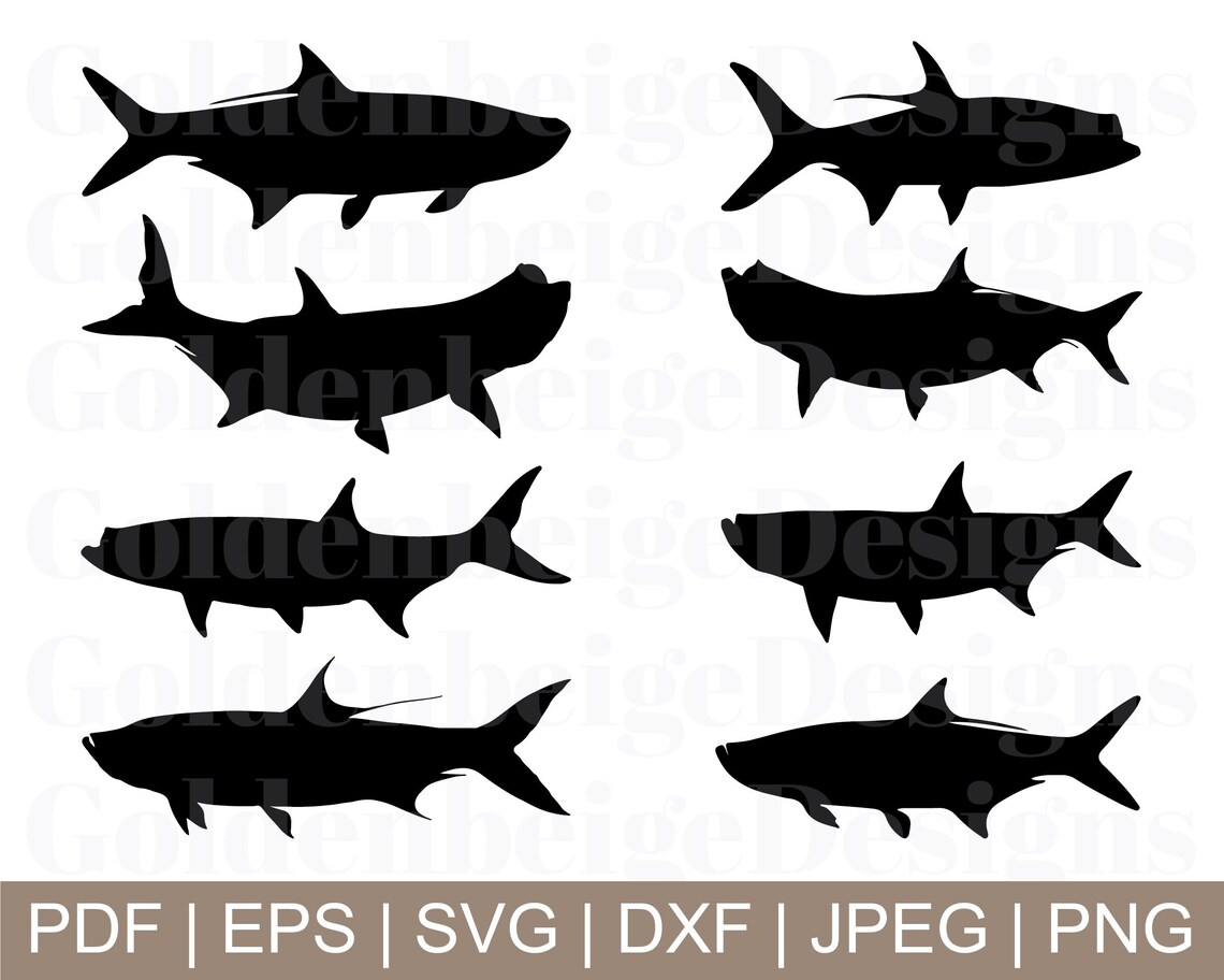 Tarpon Fish Svg, Tarpon Silhouette, Fishing Svg, Tarpon Dxf, Tarpon Png ...