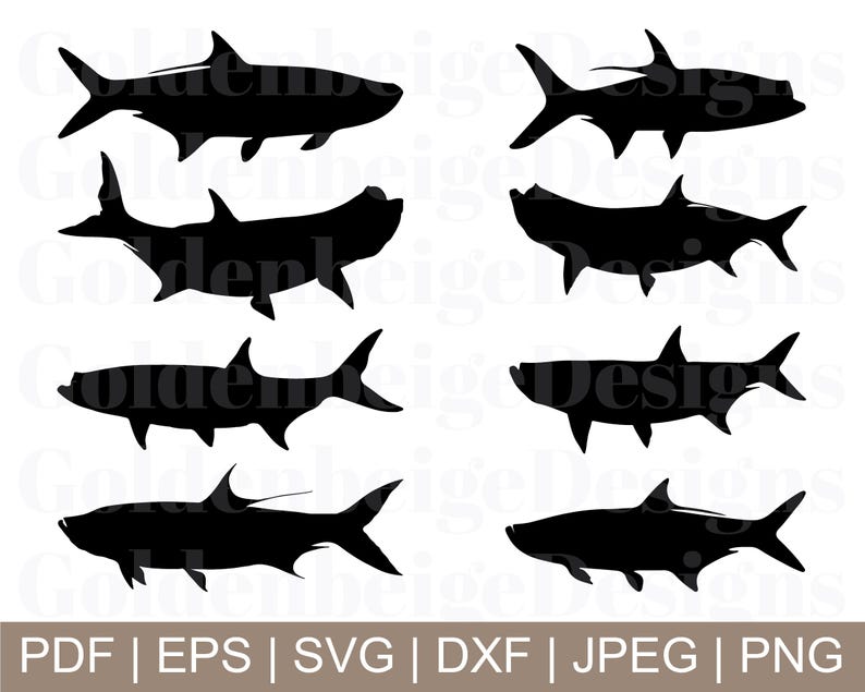 Tarpon Fish Svg, Tarpon Silhouette, Fishing Svg, Tarpon Dxf, Tarpon Png ...