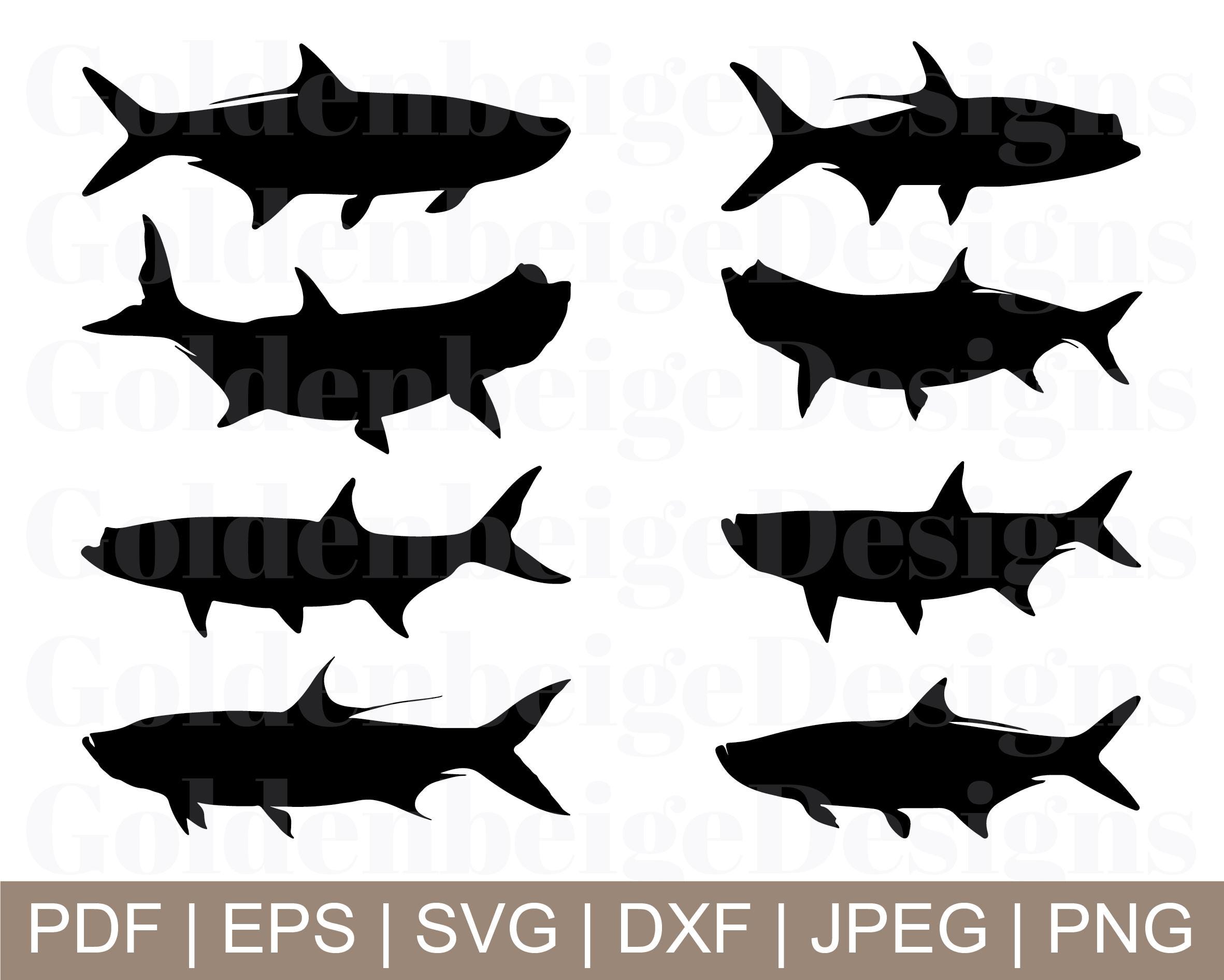 Tarpon Fish Svg, Tarpon Silhouette, Fishing Svg, Tarpon Dxf, Tarpon Png ...