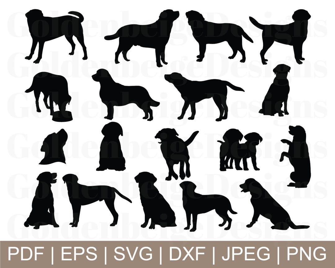 Labrador Svg, Labrador Silhouette, Labrador Dog Vector, Labrador Cricut ...