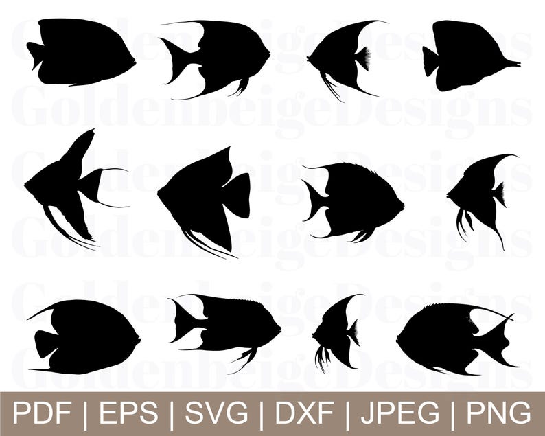 Angle Fish Svg, Angle Fish Vector, Angle Fish Silhouette, Angle Fish ...