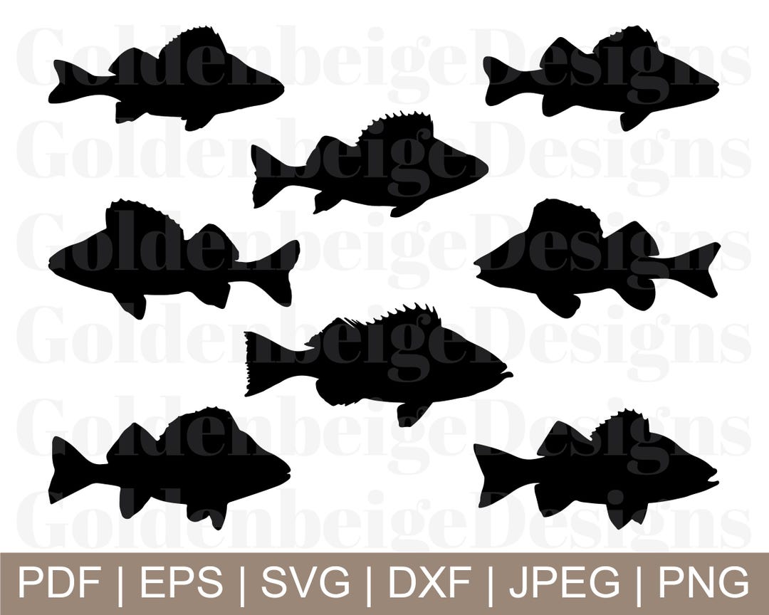 Perch Fish Svg, Fishing Svg, Perch Fish Silhouette, Perch Fish Vector ...