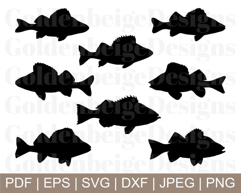 Perch Fish Svg, Fishing Svg, Perch Fish Silhouette, Perch Fish Vector ...
