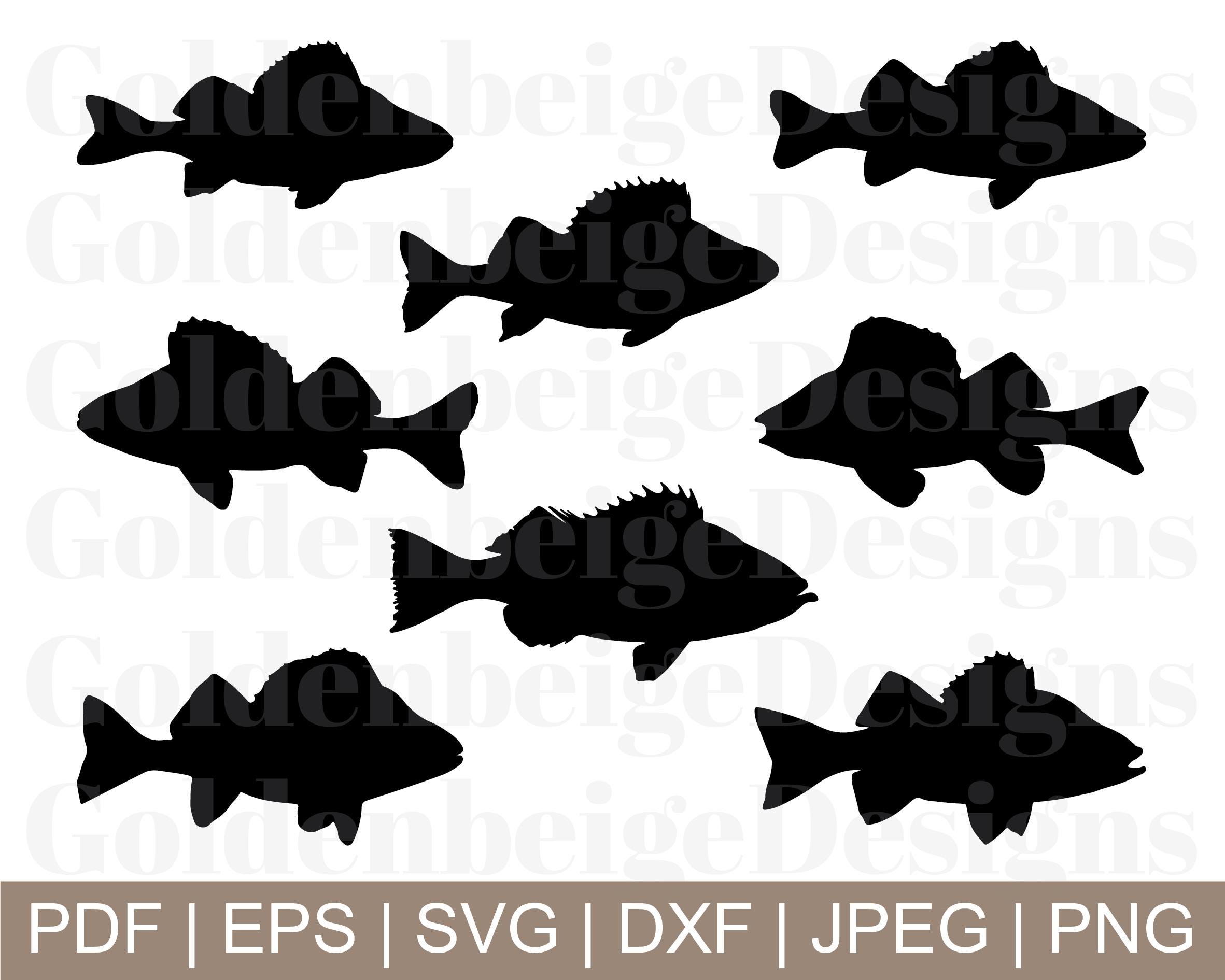 Perch Fish Svg, Fishing Svg, Perch Fish Silhouette, Perch Fish Vector ...