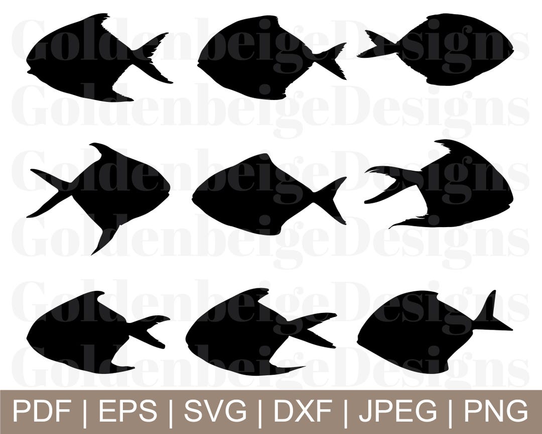 Pomfret Fish Svg, Fishing Svg, Pomfret Fish Vector, Pomfret Fish ...