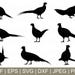 Pheasant Svg, Pheasant Cut File, Pheasant Silhouette, Pheasant Dxf ...