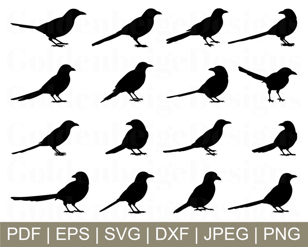 Magpie Bird Svg, Magpie Bird Vector, Magpie Bird Silhouette, Magpie ...